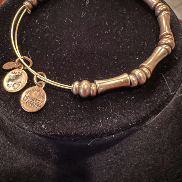 Alex and Ani | Jewelry | Alex And Ani Bamboo Design Bangle Bracelet ...